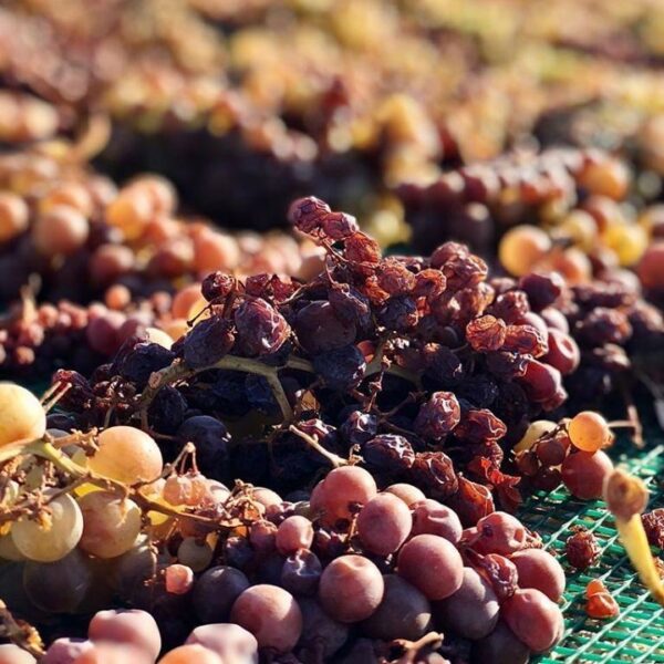 Sobre los vinos dulces naturales y los vinos naturalmente dulces ...